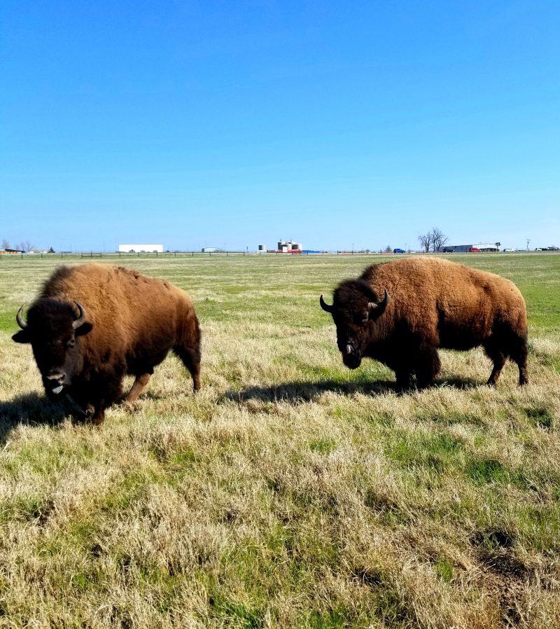 The Ranch - Grande Horn Ranch
