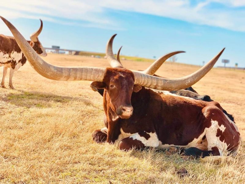 Around The Ranch – Grande Horn Ranch