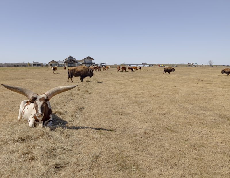 Around The Ranch - Grande Horn Ranch